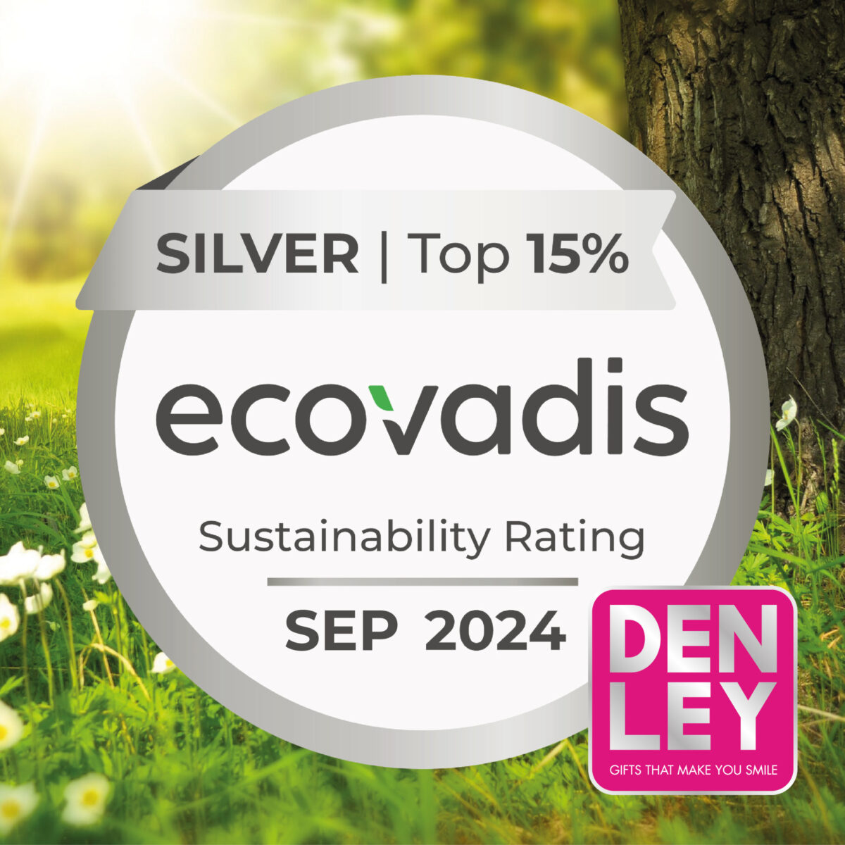 Ecovadis certificering behaald! - Denley